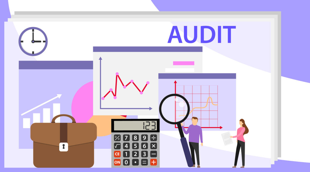 Information System Audit – J. B. Rajbhandary & DiBins